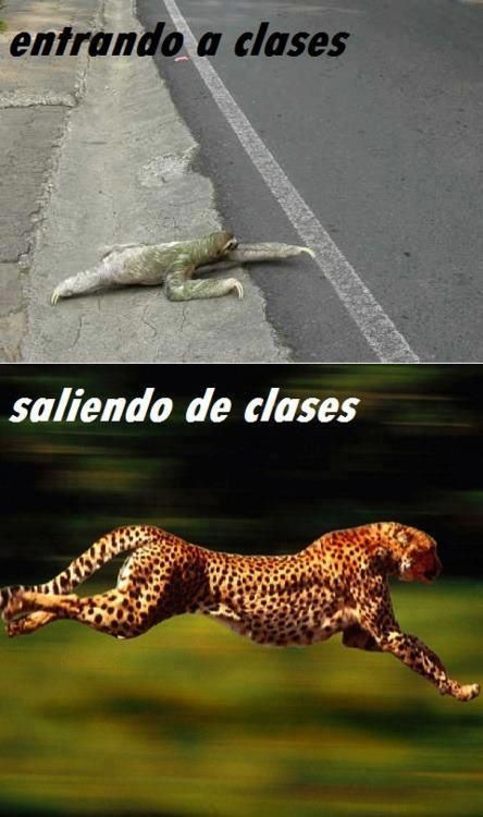 Entrando a clases vs. saliendo de clases | estudiafeliz