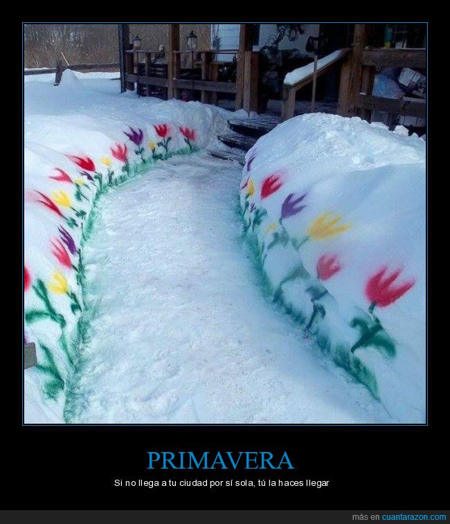 Memes Primavera Fria El Arrabal (@elarrabal_gdl) · Instagram